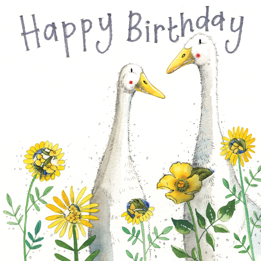 Alex Clark Birthday Ducks Greeting Card | Just for Ewe