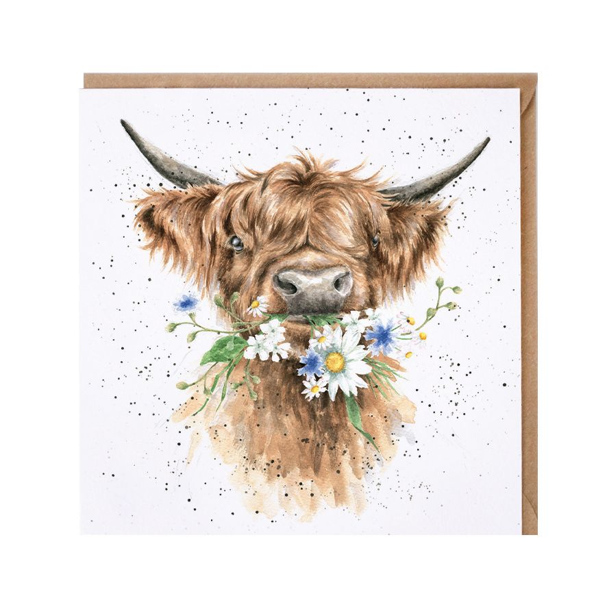 Daisy Coo Highland Cow Wrendale Greeting Card | Just for Ewe