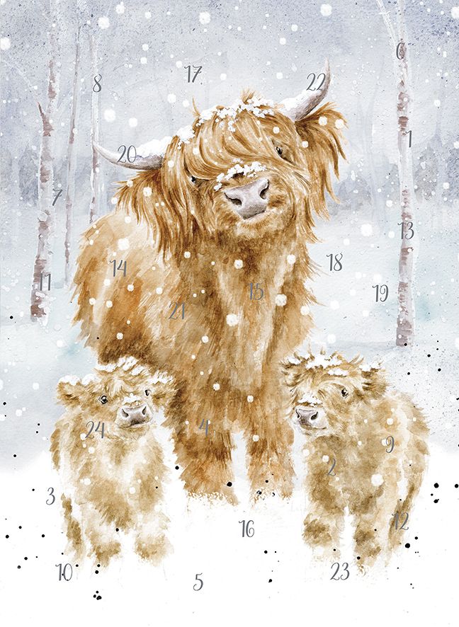 Highland Cows Advent Calendar "A Highland Christmas" Wrendale Designs ...
